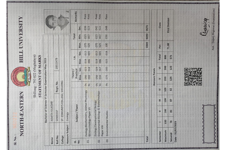 College Marksheet | PDF
