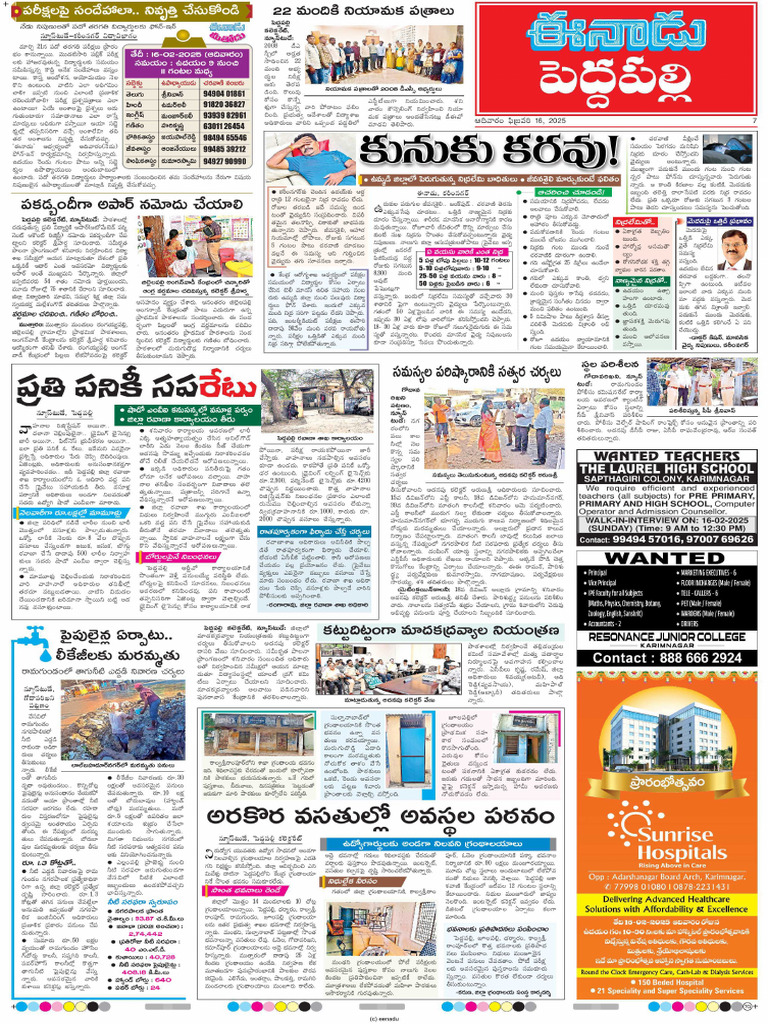 PEDDAPALLE_EE_16-02-2025 | PDF