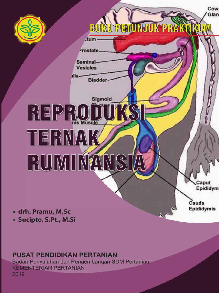 6. BP REPRODUKSI TERNAK RUMINANSIA | PDF