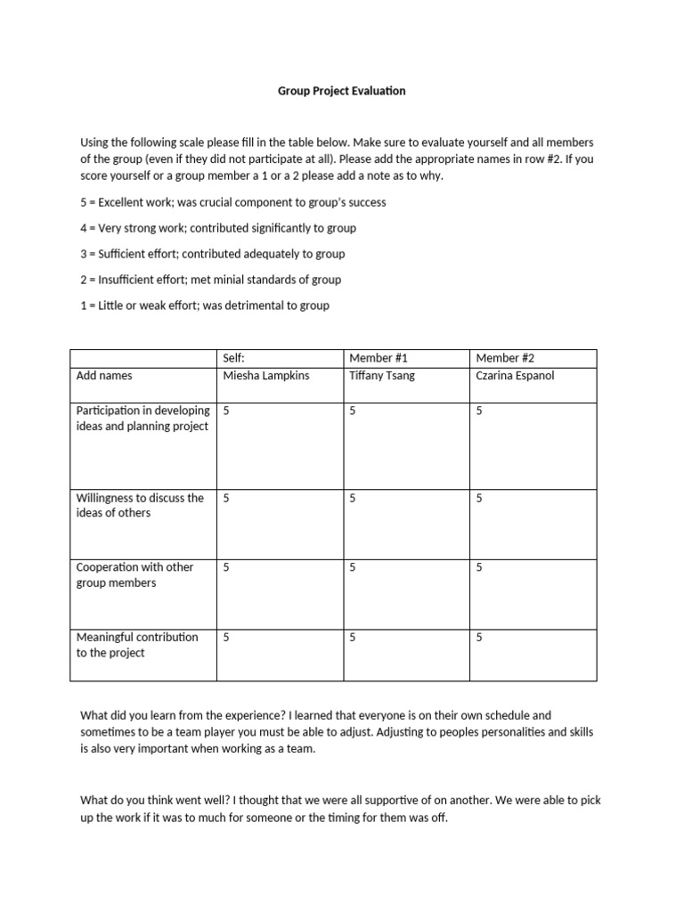 Group Project Evaluation Guide | PDF