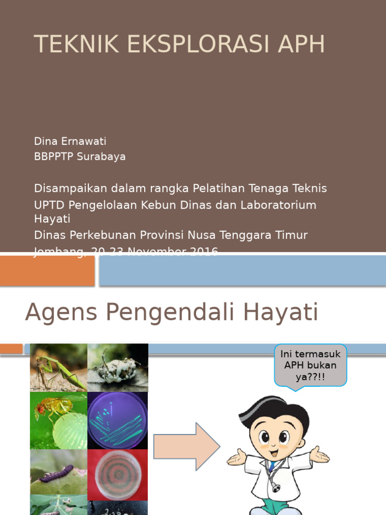 Teknik Eksplorasi APH | PDF