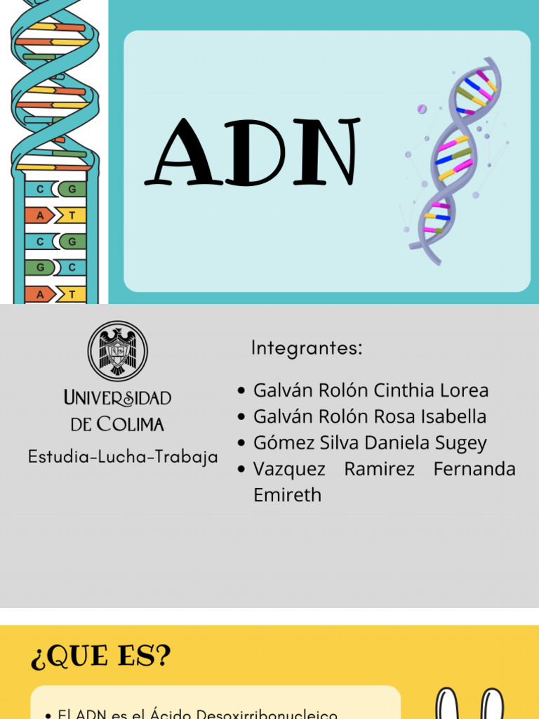 DNA Biology Science Education Presentation in Blue Orange Illustrated ...