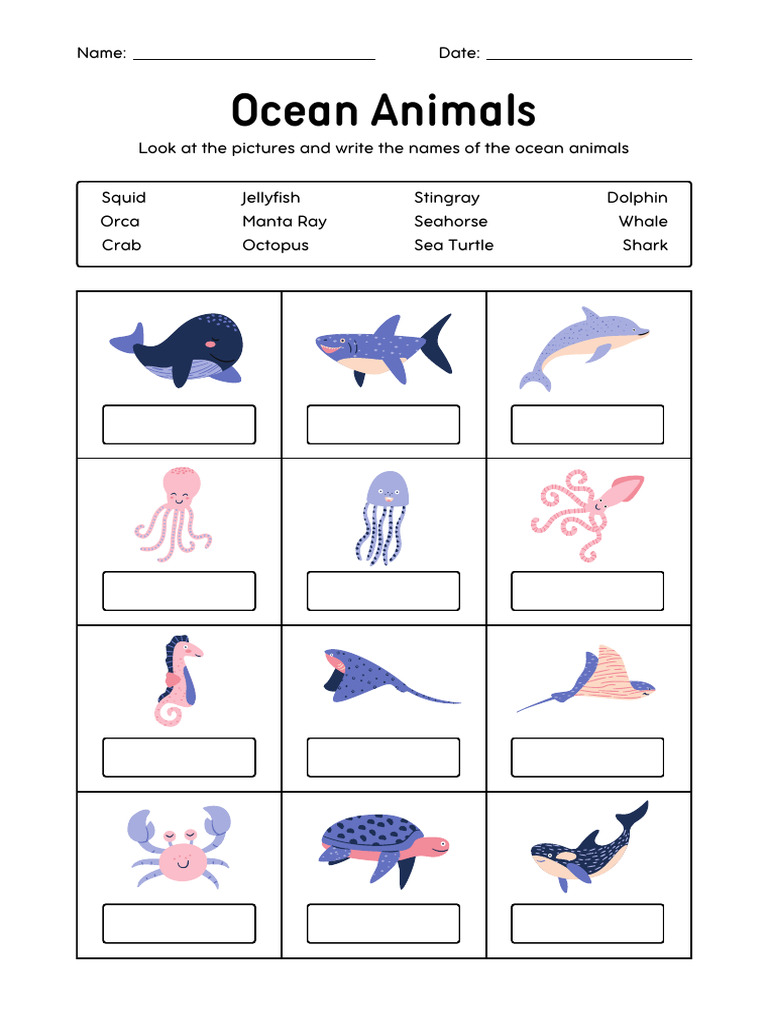 White Colorful Ocean Animals Vocabulary Activity Worksheet_20250207 ...