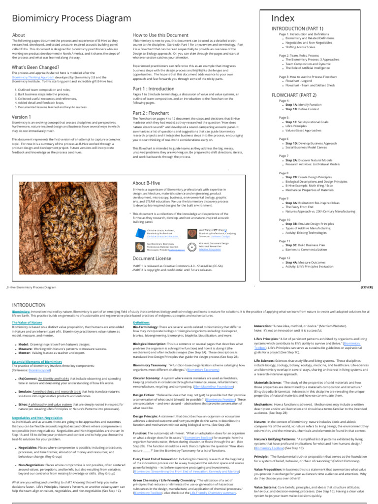 BHIVE-Biomimicry Process Diagram V1.1 2024-10-23 | PDF | Design | Nature