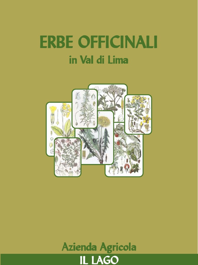 Erbe Officinali | PDF