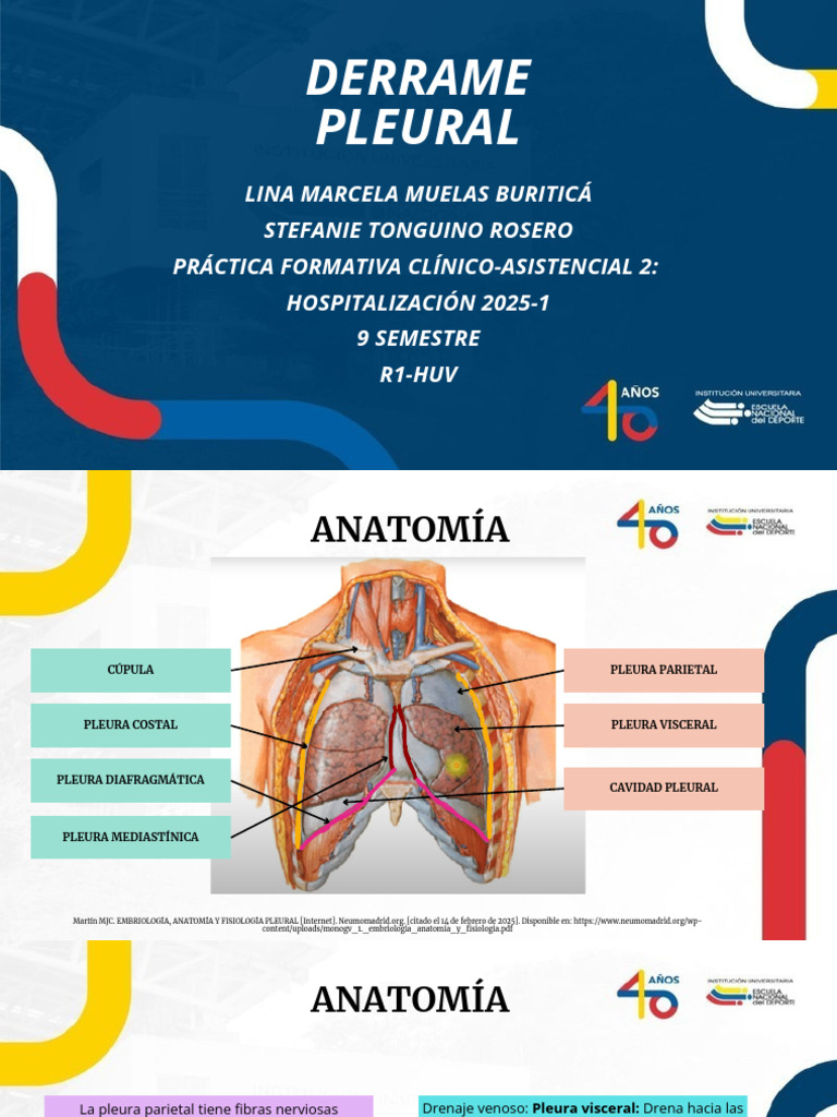 Derrame Pleural: Anatomía y Diagnóstico | PDF
