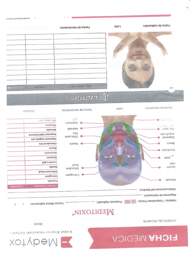 Ficha Botox y Ácido | PDF