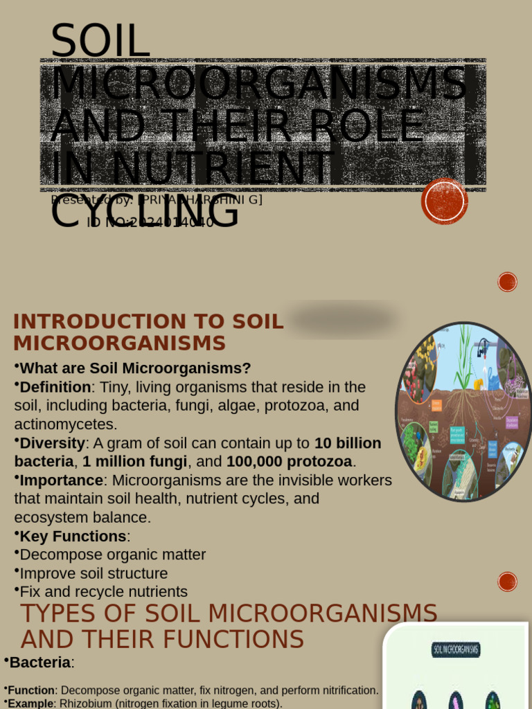 Soil Microbes in Nutrient Cycling | PDF | Soil | Organic Matter