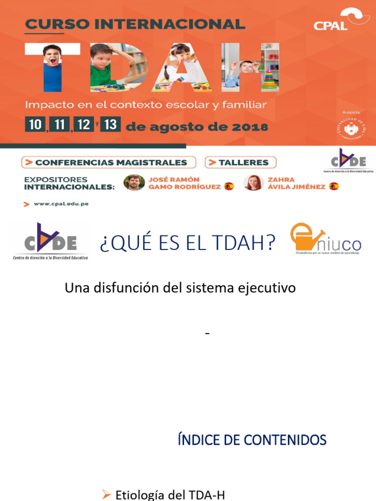 Comprendiendo el TDAH: Causas y Síntomas | PDF | Desorden hiperactivo y ...