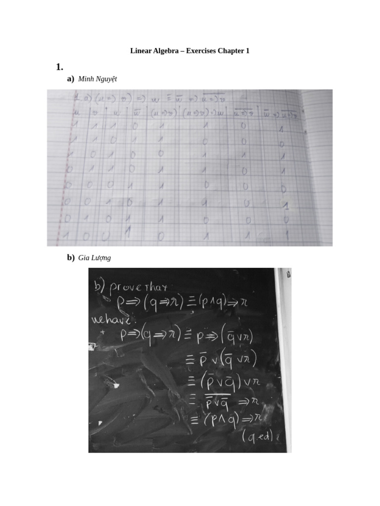 Linear Algebra - Exercises Chapter 1 | PDF