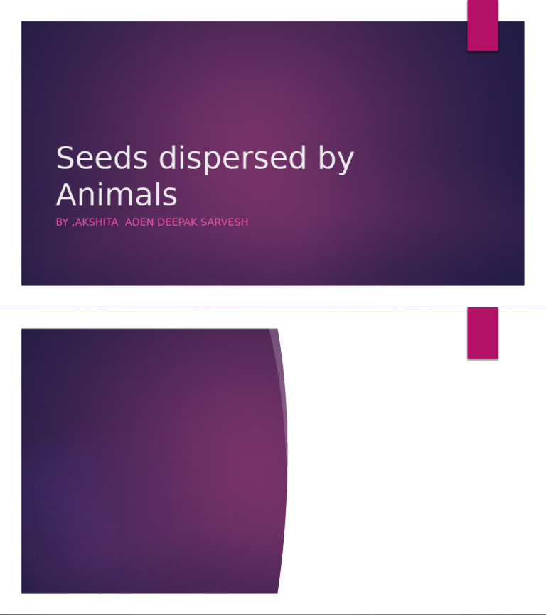 Seeds dispersed by Animals | PDF