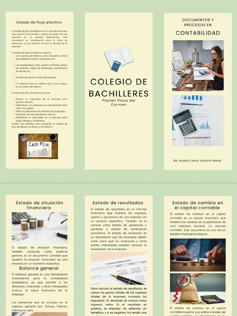 Triptico de Las Principales Bases en Contabilidad | PDF