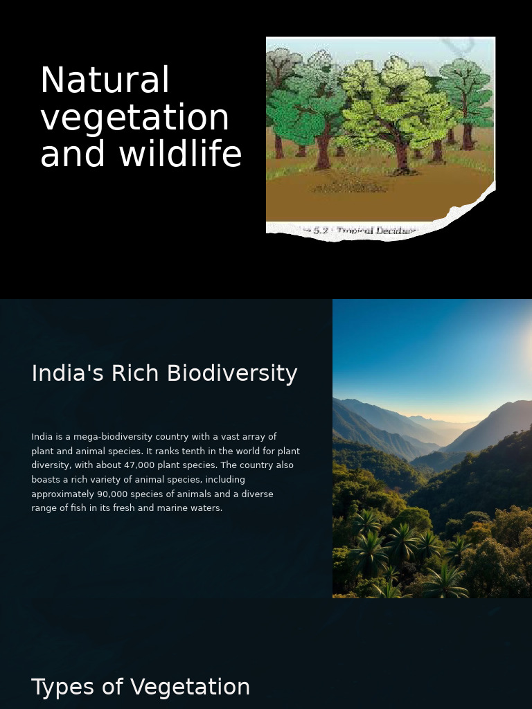 Indias Rich Biodiversity | PDF | Forests | Trees