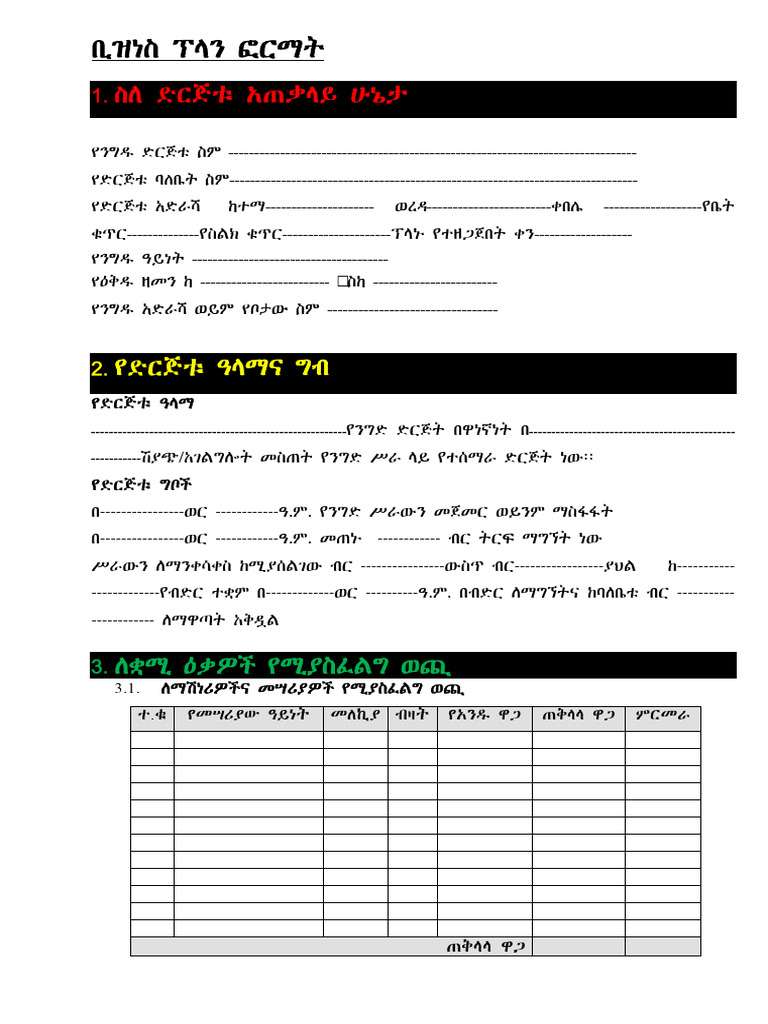 Business Plan Format For - Amharic | PDF