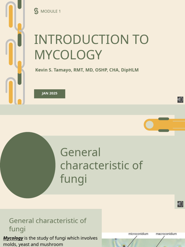 Intro to Mycology RECORDED | PDF | Fungus | Cell (Biology)