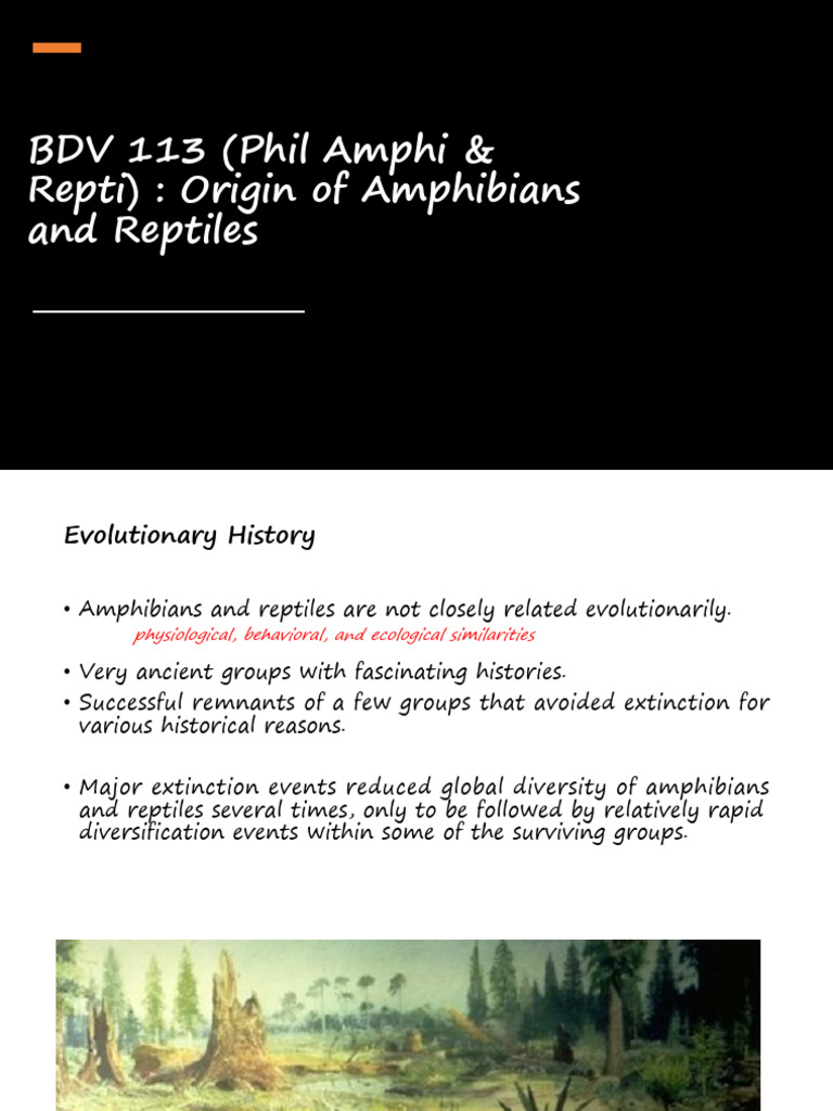 Evolution of Amphibians and Reptiles | PDF | Amphibian | Reptile