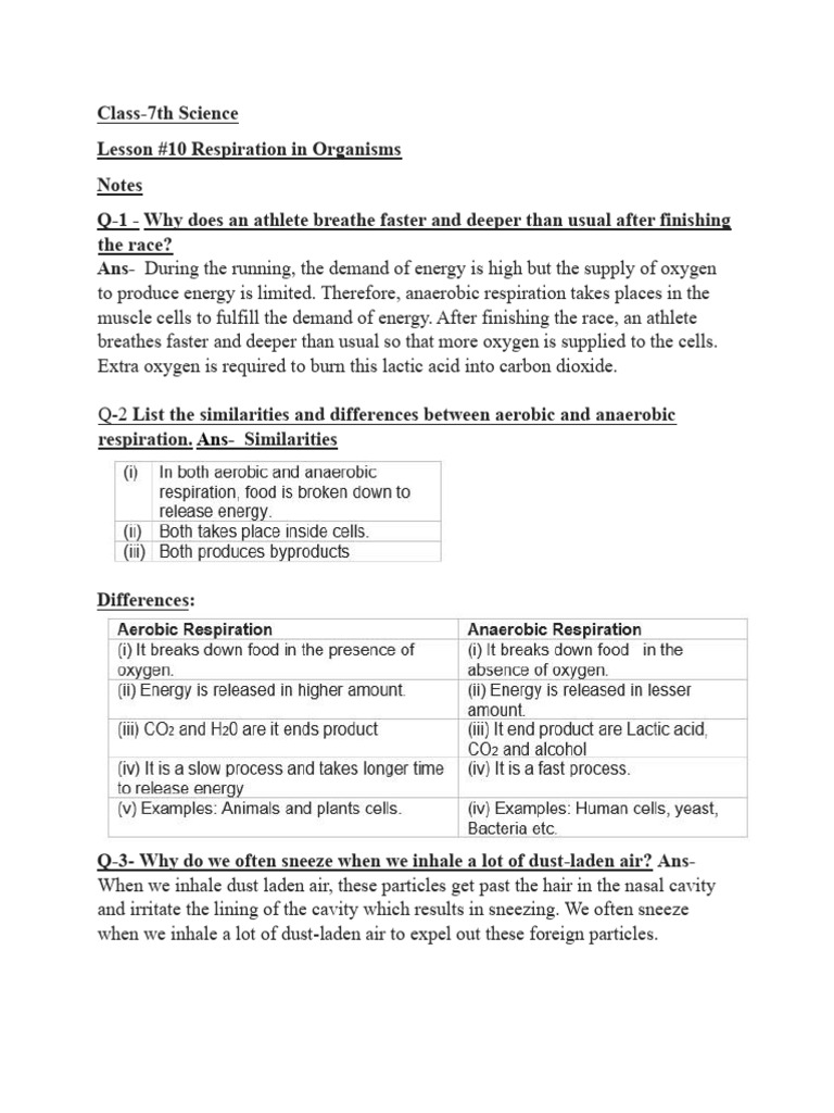 Respiration in Organisms Class 7 | PDF | Breathing | Respiratory System