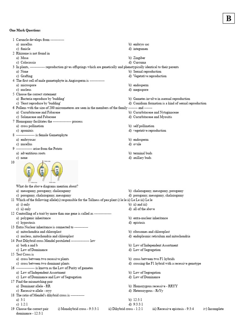 Plant Genetics and Reproduction Quiz | PDF | Dominance (Genetics ...