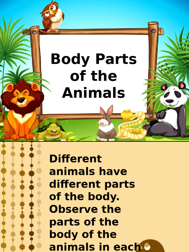Body Parts of The Animal | PDF