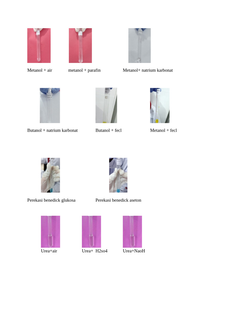 Klmpk 4 [Percobaan 4] | PDF