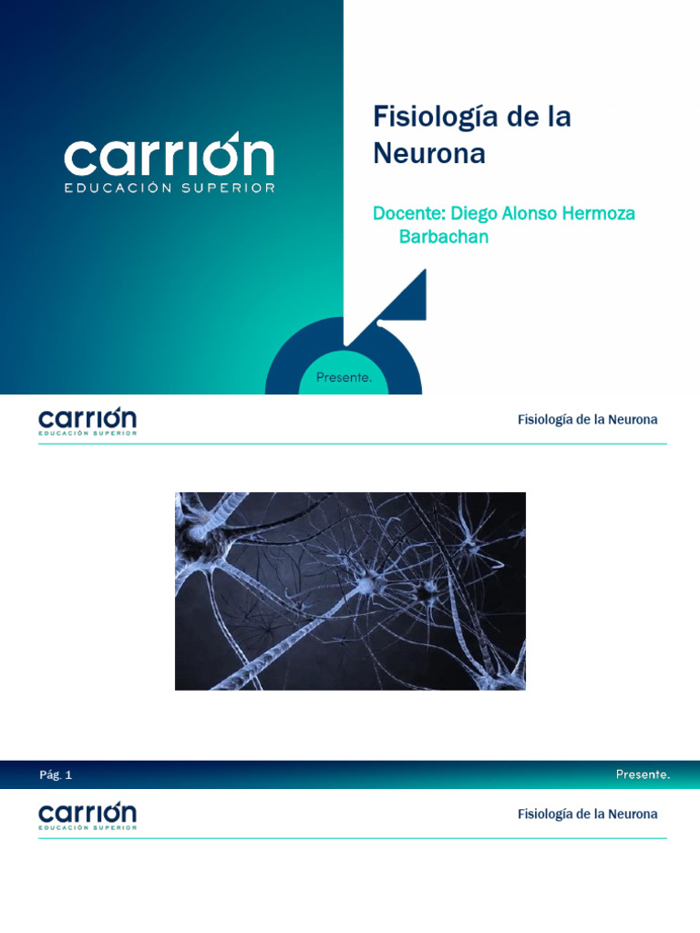 Neurologia I | PDF | Neurona | Axon