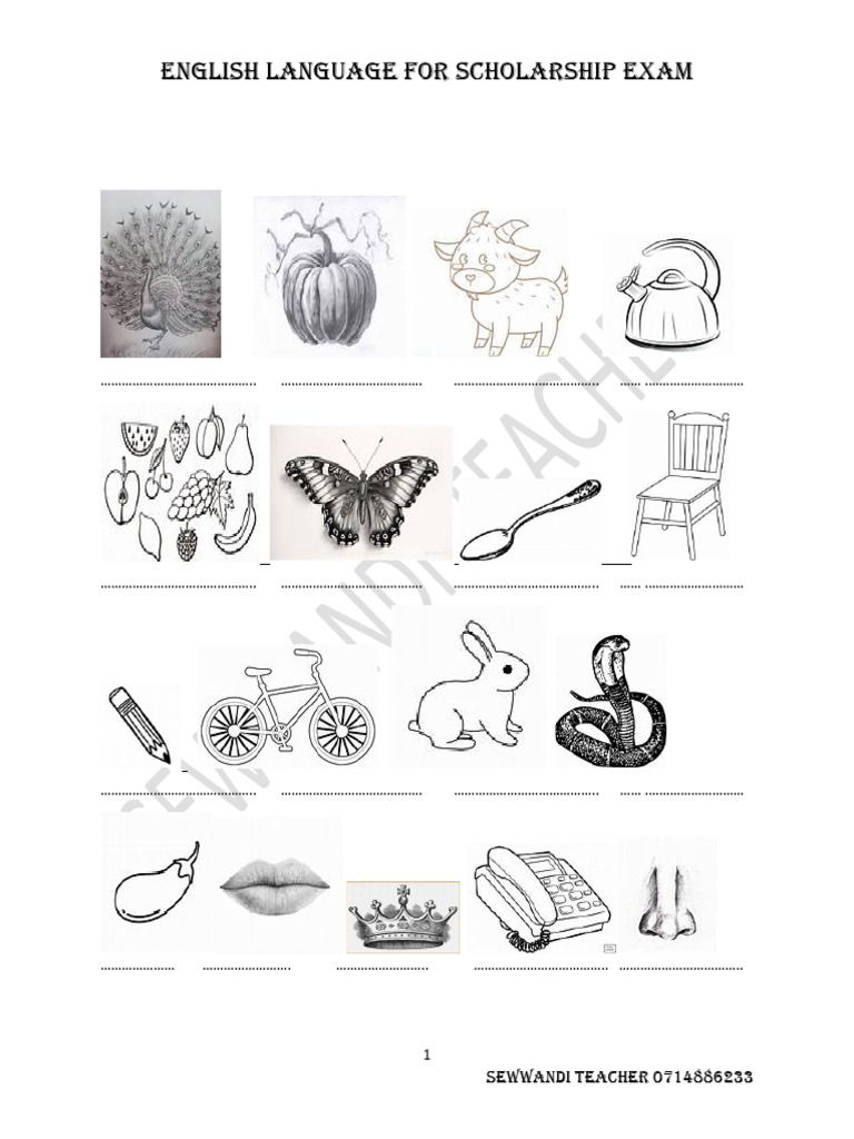 Finalist Schorship Exam Tute 2024 | PDF