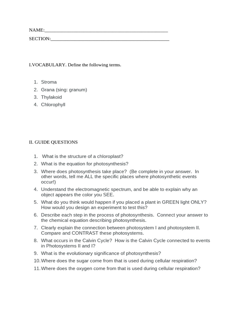 Guide Questions | PDF