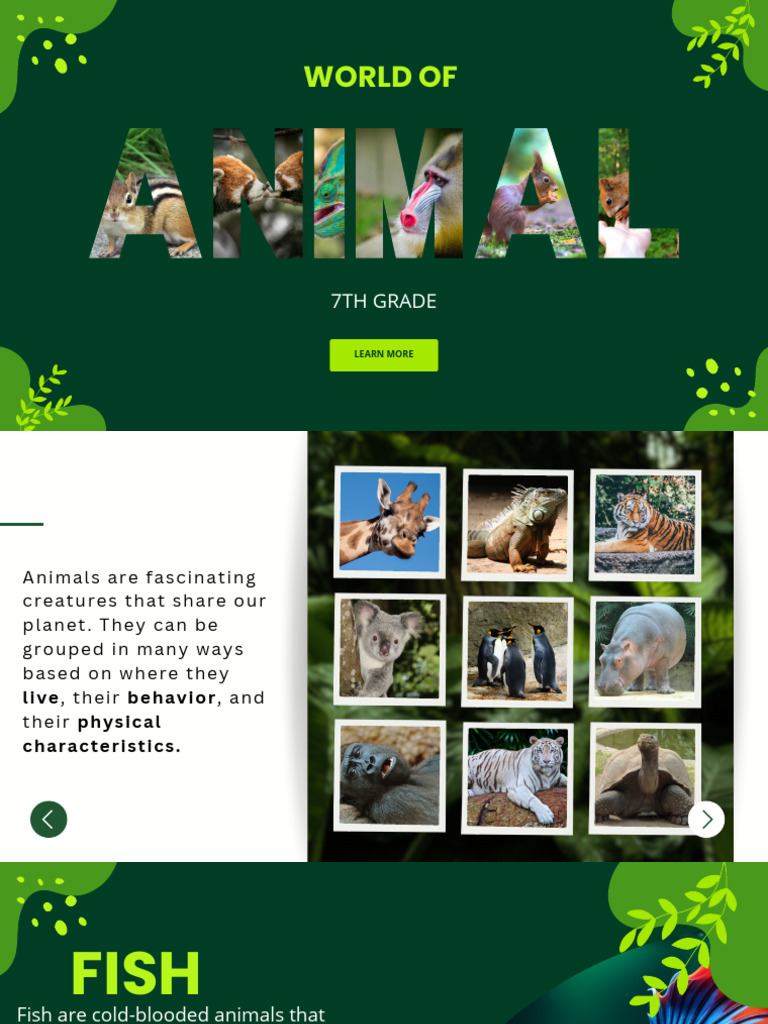 World of Animals | PDF