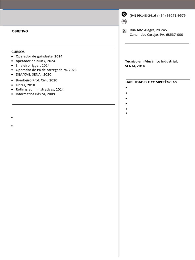 Elisangela Curriculo Operacional | PDF