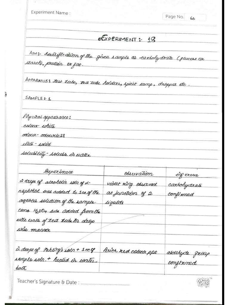 CL 12 Practical - Food Test | PDF