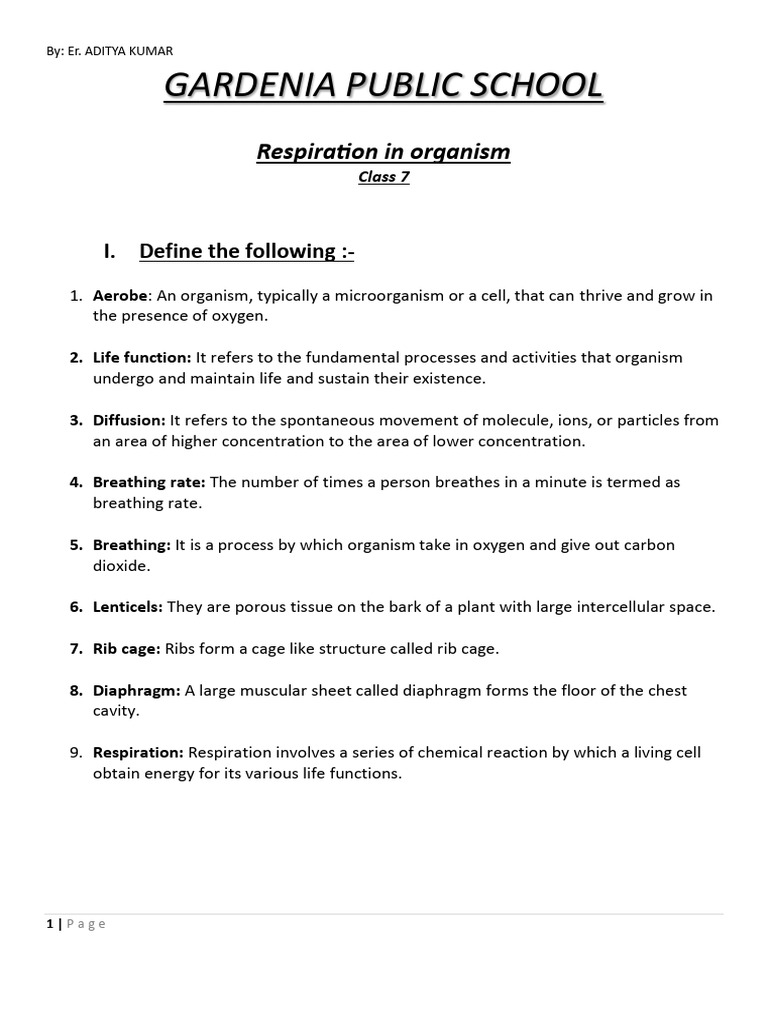 Respiration Processes in Organisms | PDF | Respiratory System | Breathing