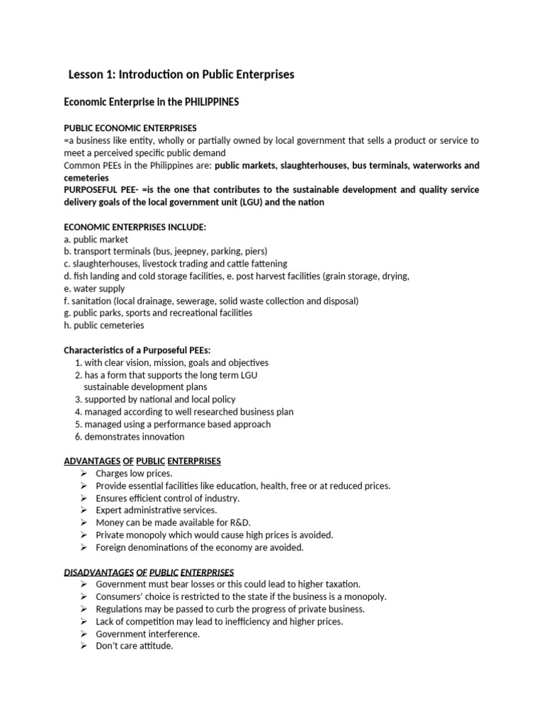 Lesson 1 Intro On Public Enterprise | PDF | Taxes | Subsidy
