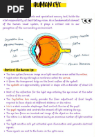 Human Eye and The Colorful World - Short Notes (Prashant Kirad) | PDF ...