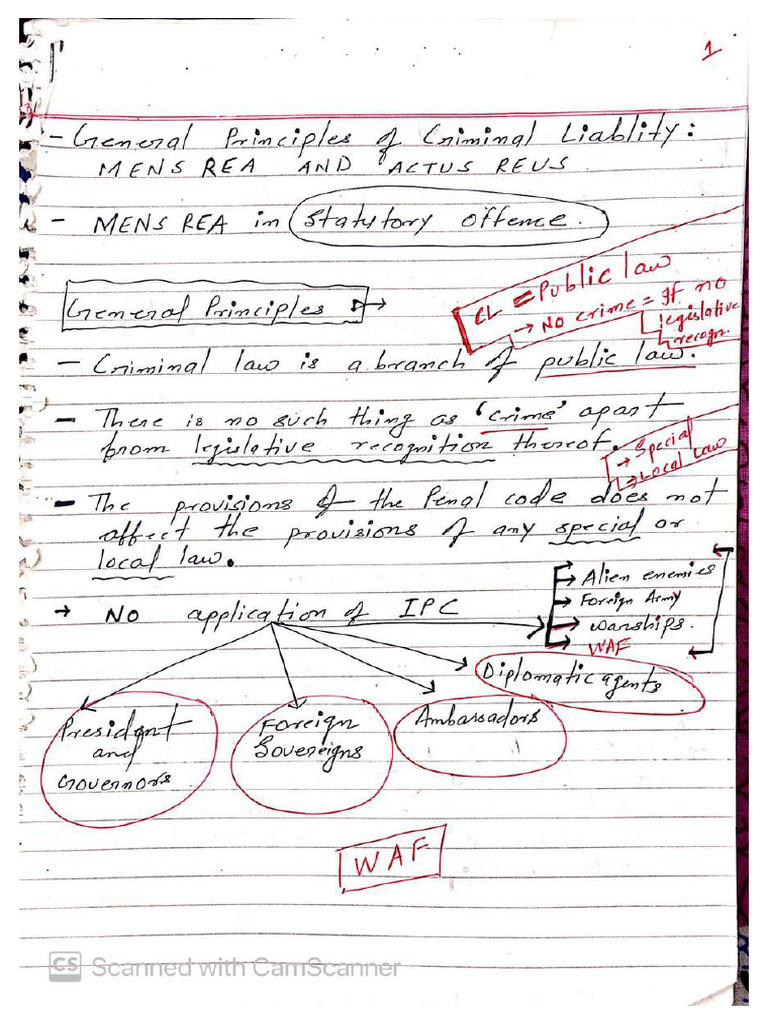 Indian Penal Code HANDWRITTEN NOTES Assistant Professor Law Amit Singh ...