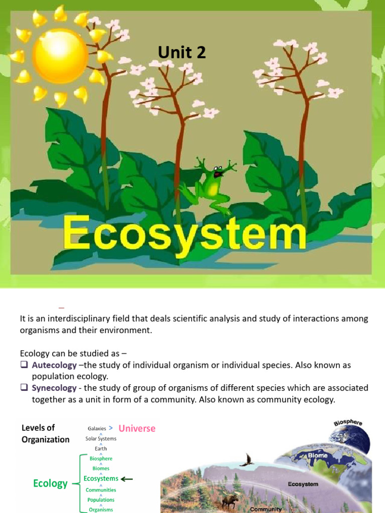 Unit 2. Ecosystem | PDF | Food Web | Ecosystem