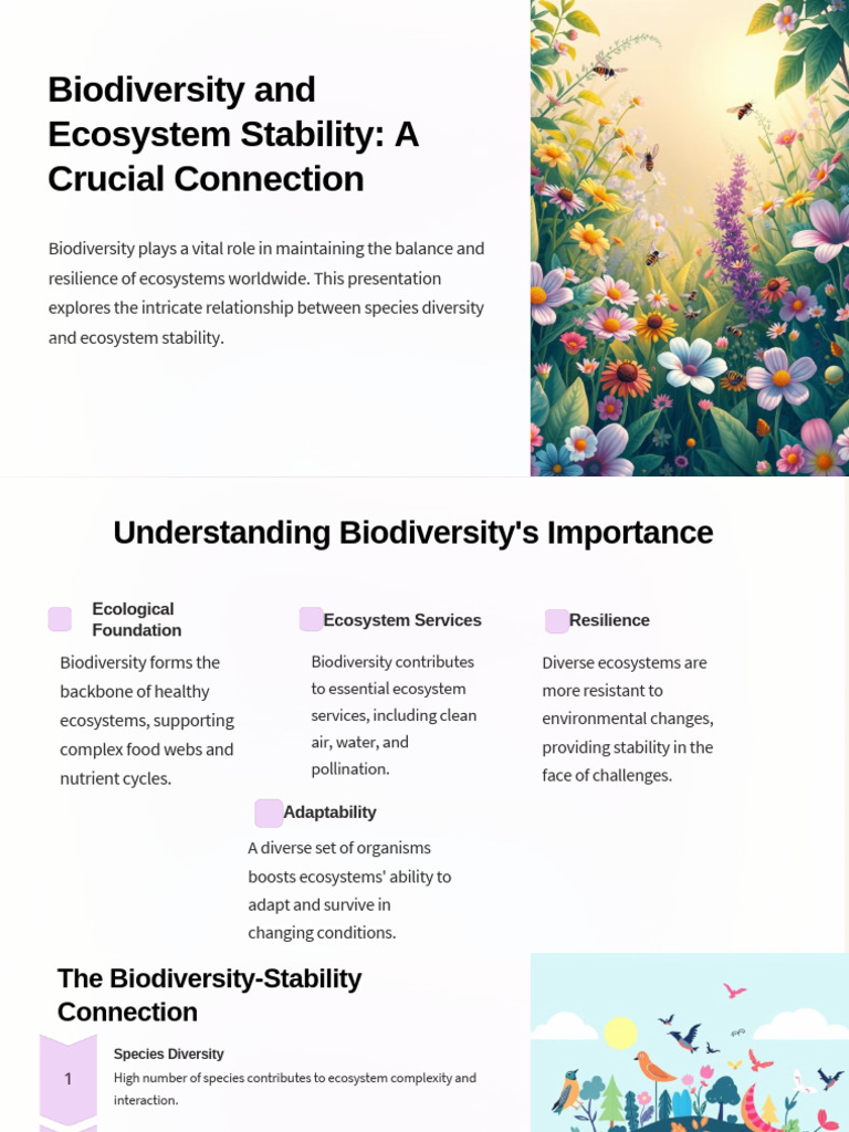 Biodiversity and Ecosystem Stability A Crucial Connection | PDF ...