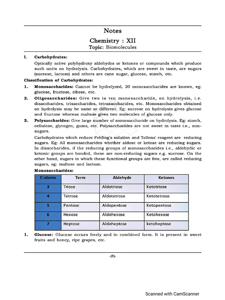 Biomolecules Class 12 | PDF
