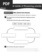 Parts of a Flower Worksheet Grade 4 | PDF