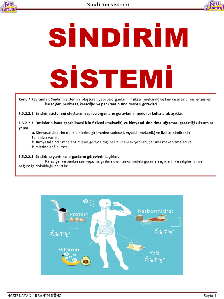 6.sınıf 2ü2b Sindirim Sistemi | PDF
