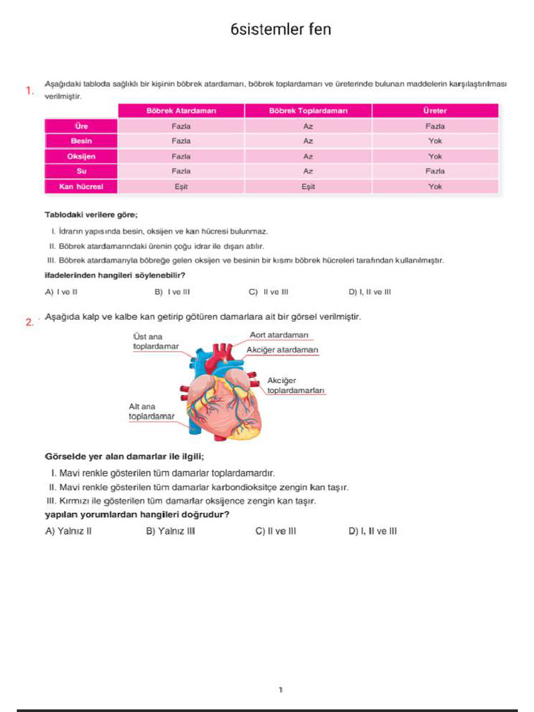 6 Sistemler Tekrar Testi - 241128 - 123546 | PDF