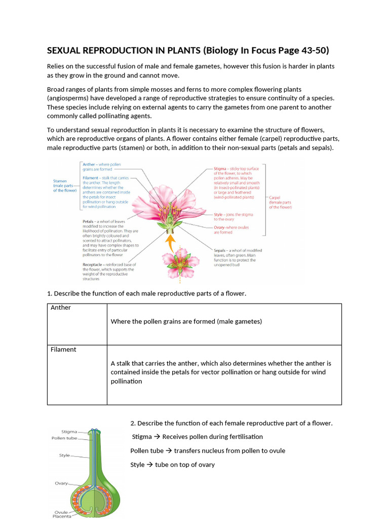 Sexual Reprodution Plants Asexual Reproduction | PDF | Flowers | Plant ...