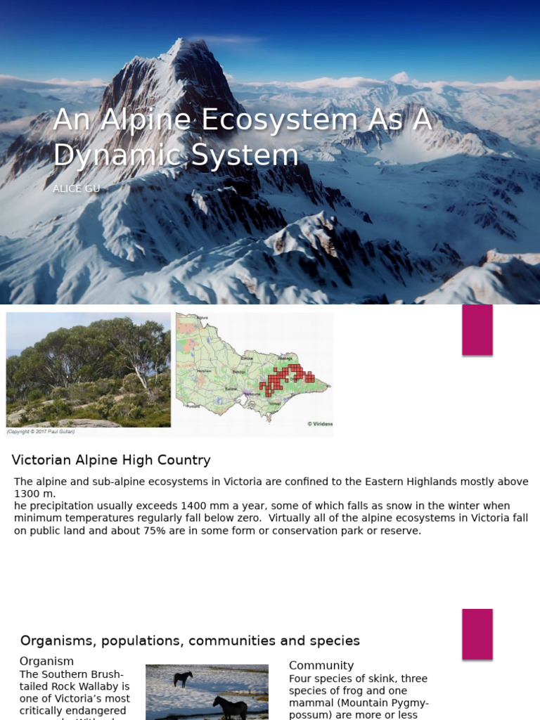 An Alpine Ecosystem As A Domestic System | PDF