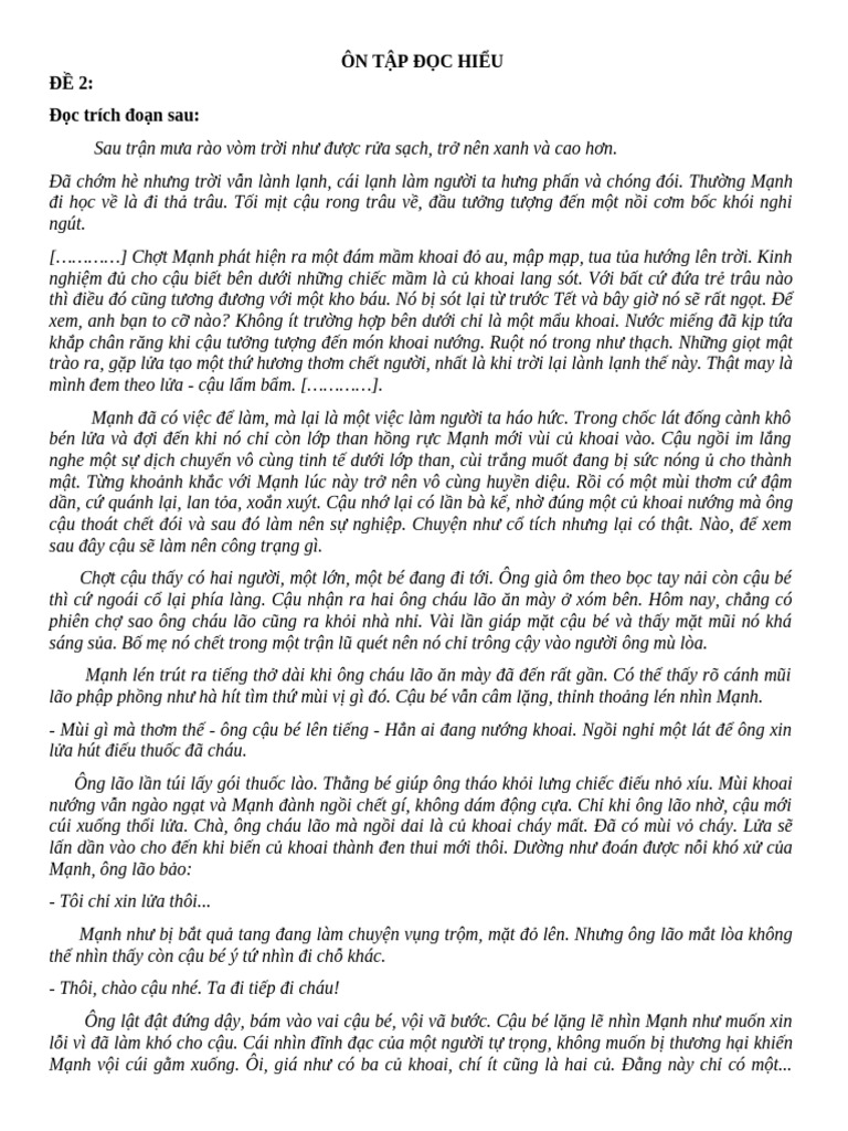 Ôn Tập Đọc Hiểu NV10 TH | PDF