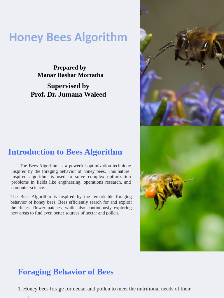 Bees Algorithm1 | PDF | Mathematical Optimization | Bees