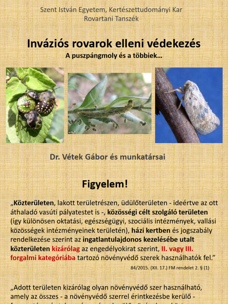 Inváziós Rovarok, Puszpángmoly És A Többiek | PDF