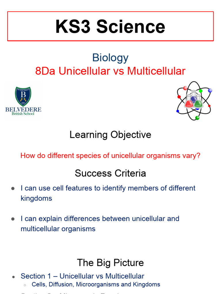 8da Unicellular Vs Multicellular | PDF | Cell (Biology) | Microorganism