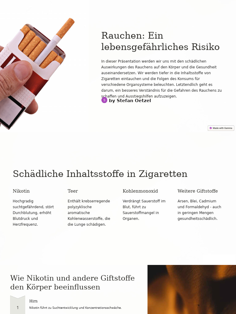 Rauchen KV Anna Lena Rein | PDF