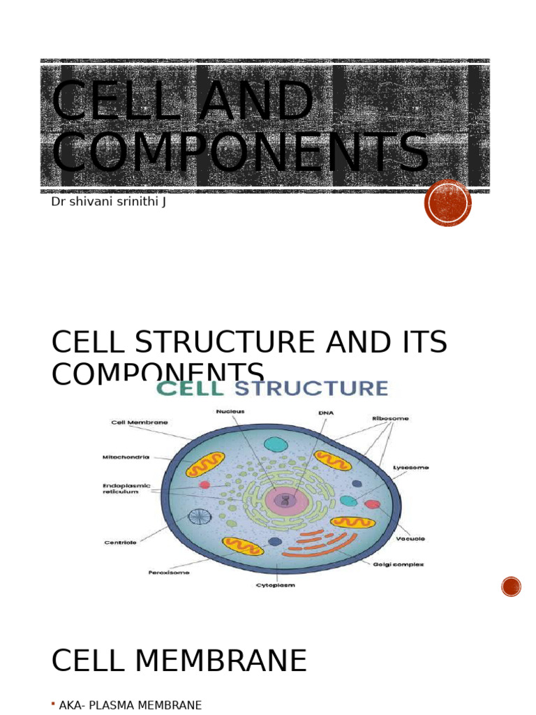 Cell and Components | PDF