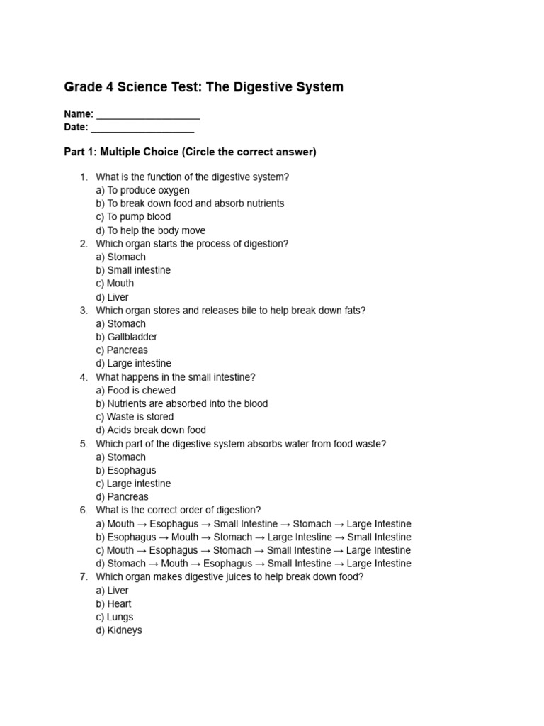Grade 4 Science Test - The Digestive System (Chatgpt) | PDF | Digestion ...