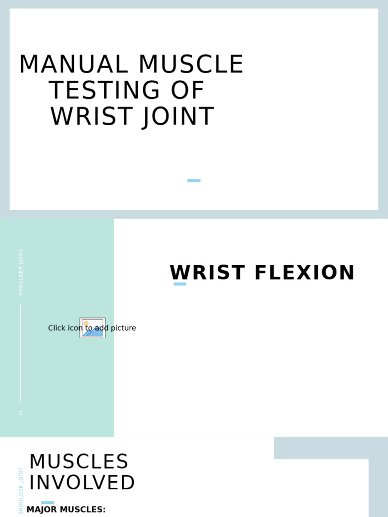 Manual Muscle Testing of Wrist | PDF | Anatomical Terms Of Motion | Hand